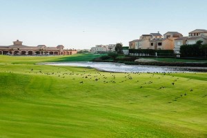 Photo Gallery - Madinaty Golf & Country Club